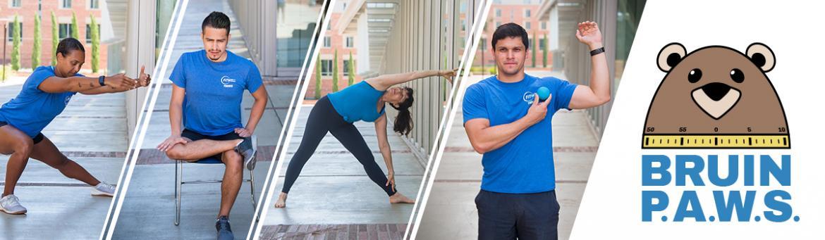 Bruin Productive Active Working System | UCLA Recreation Fitwell Program